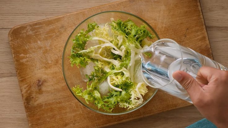 Cómo conservar la lechuga fresca en la nevera - ALDI