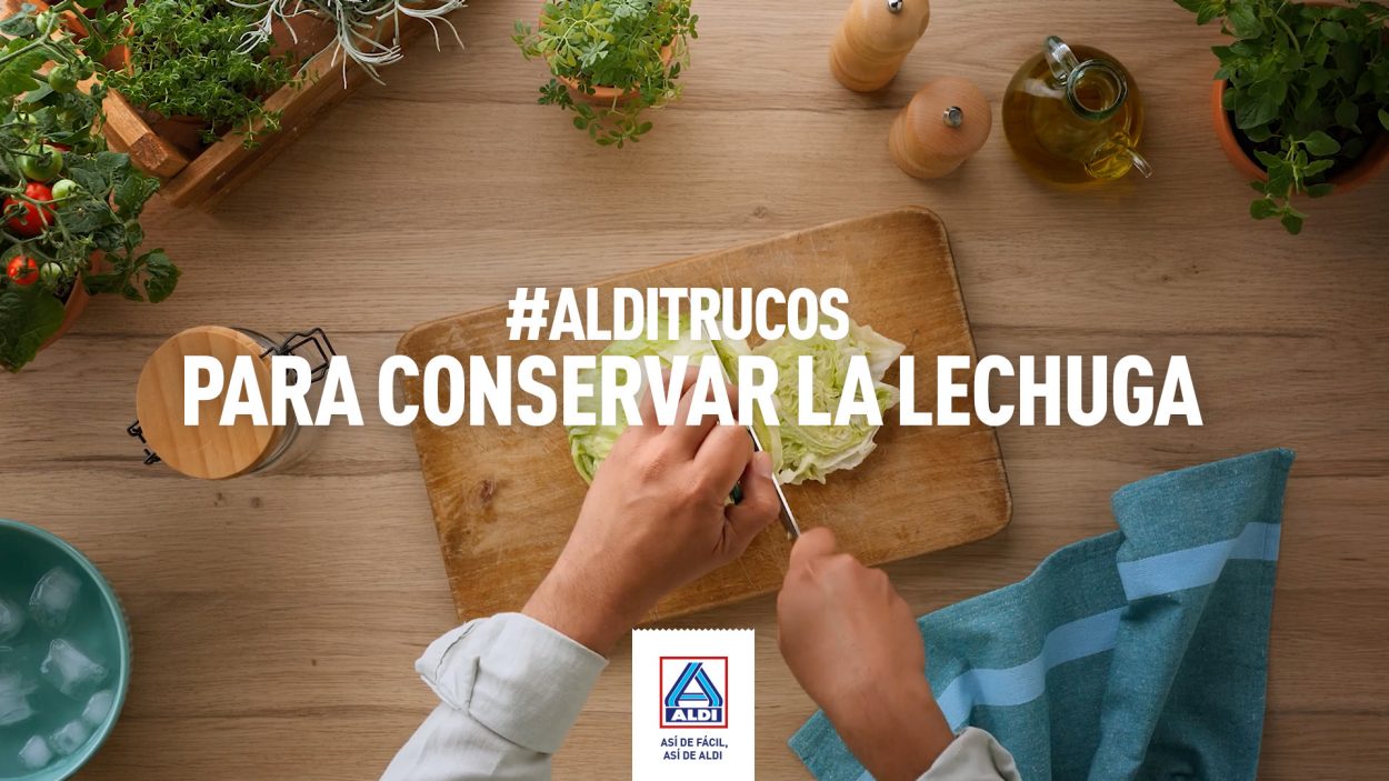 Cómo conservar la lechuga fresca en la nevera - ALDI