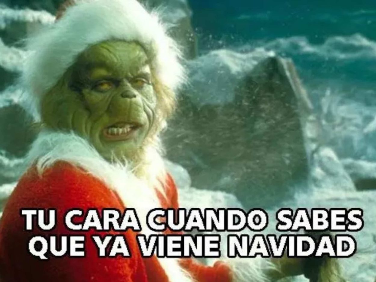 Frases De Navidad Grinch