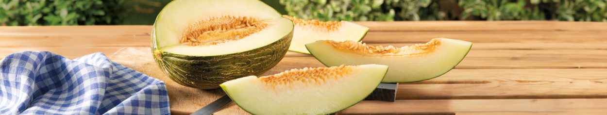 Consejos para escoger un melón en su punto - ALDI
