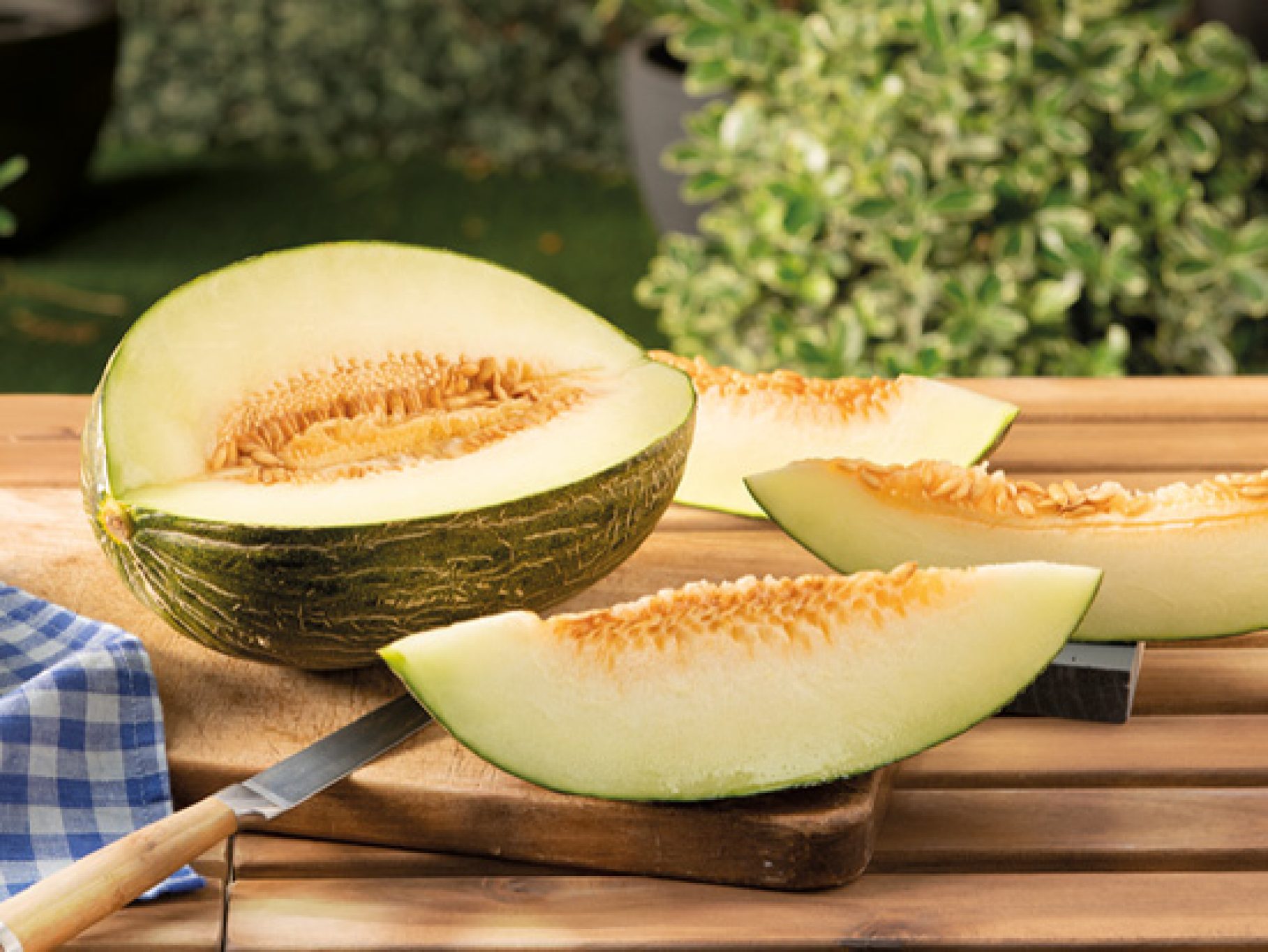 Consejos para escoger un melón en su punto - ALDI