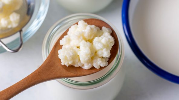 Principales diferencias entre kéfir y yogur - ALDI