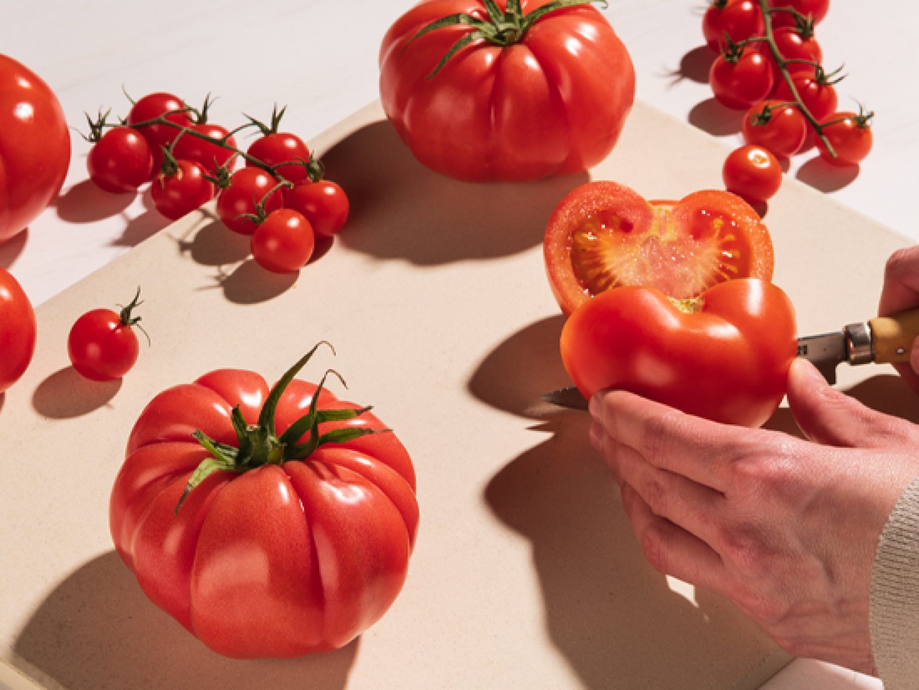 ¿Cuántos tipos de tomates existen? ¡Conócelos! - ALDI