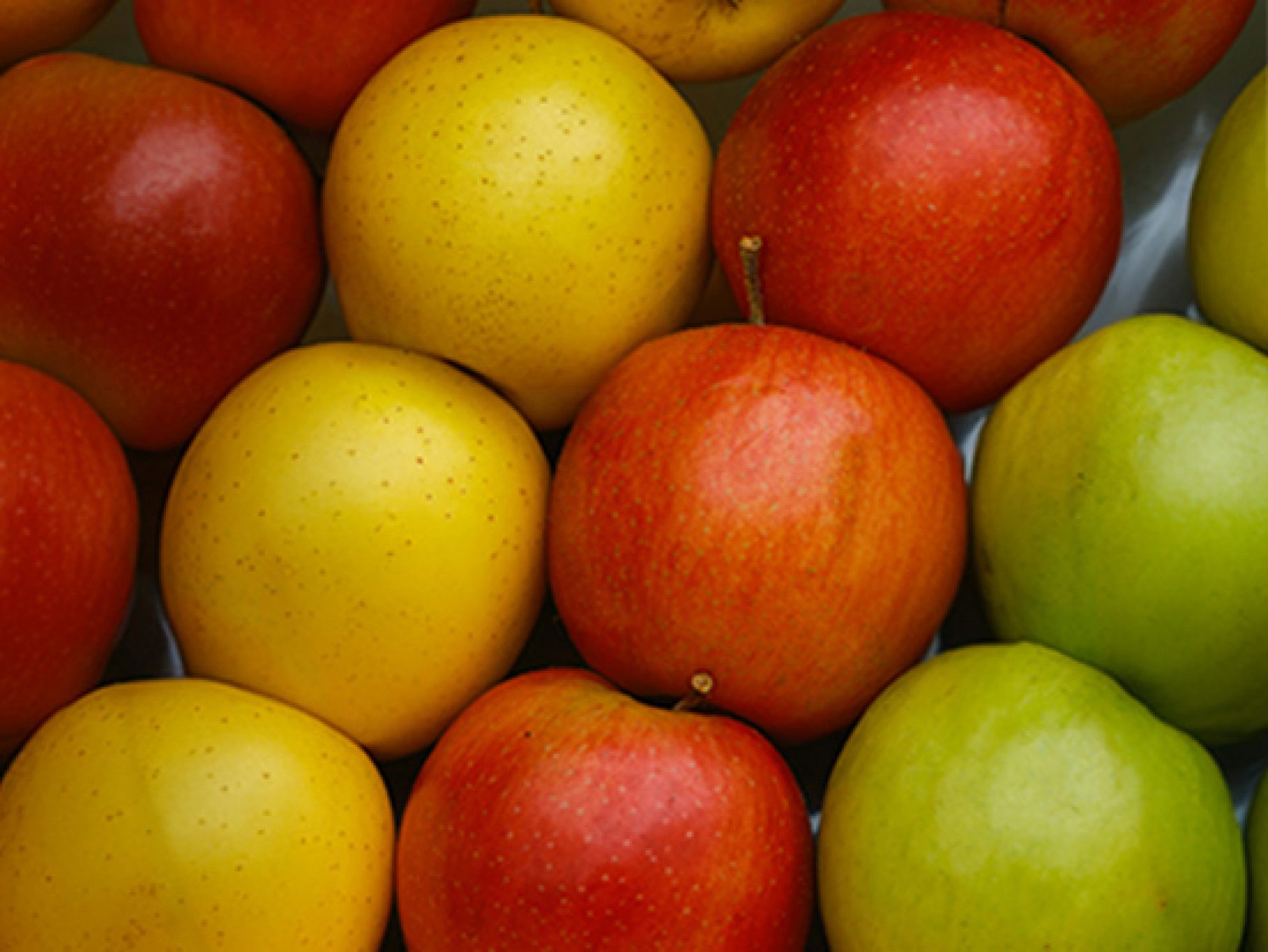 Cómo conservar manzanas: descubre la mejor forma - ALDI