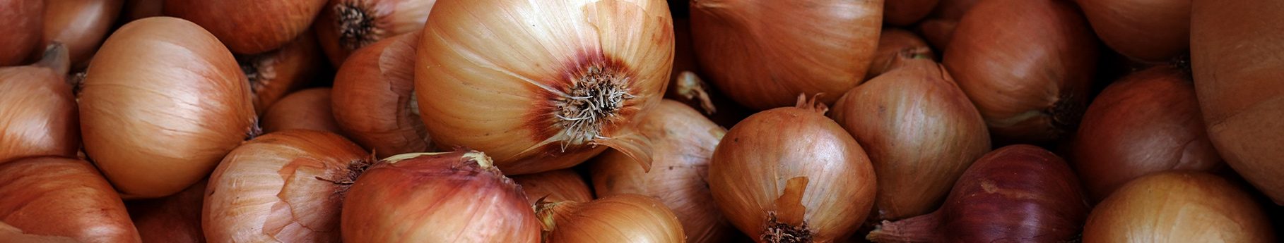 Cómo pochar cebolla correctamente - ALDI