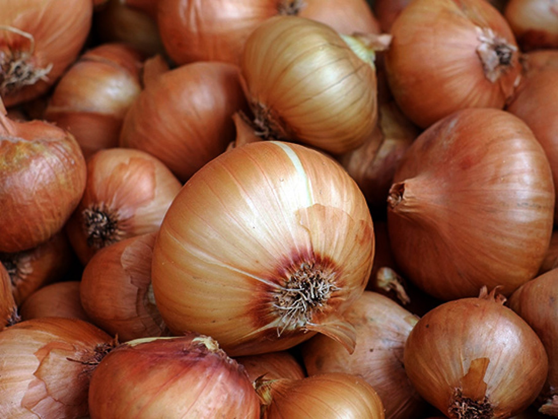 Cómo pochar cebolla correctamente - ALDI